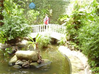 Phuket Butterfly Garden & Insect World in Phuket Town • HolidayCheck